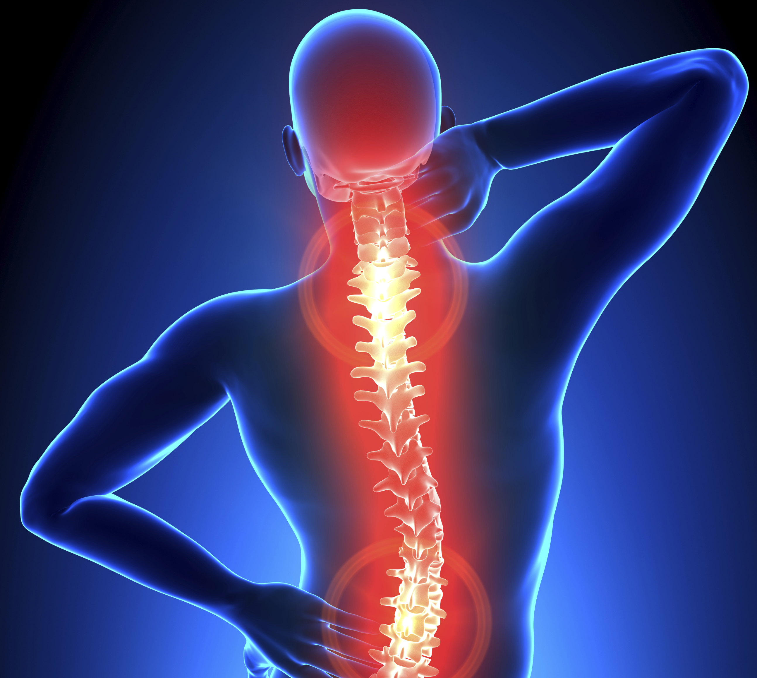 Back Pain: Big Picture Insights - Saanich Physio + Sports Clinic